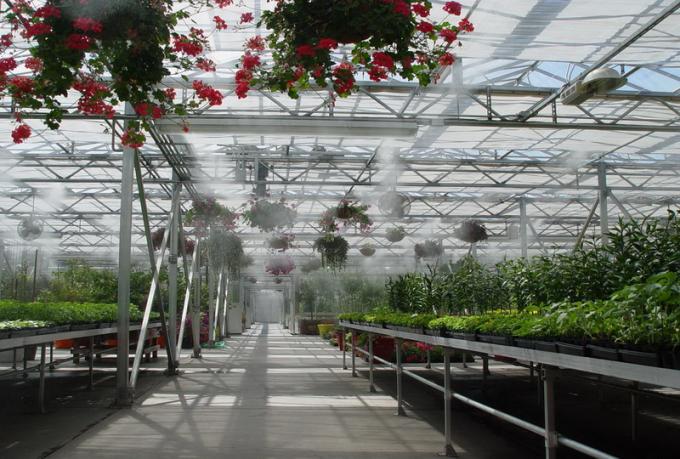 Wheat Greenhouse Irrigation System / Black Polytunnel Irrigation Systems