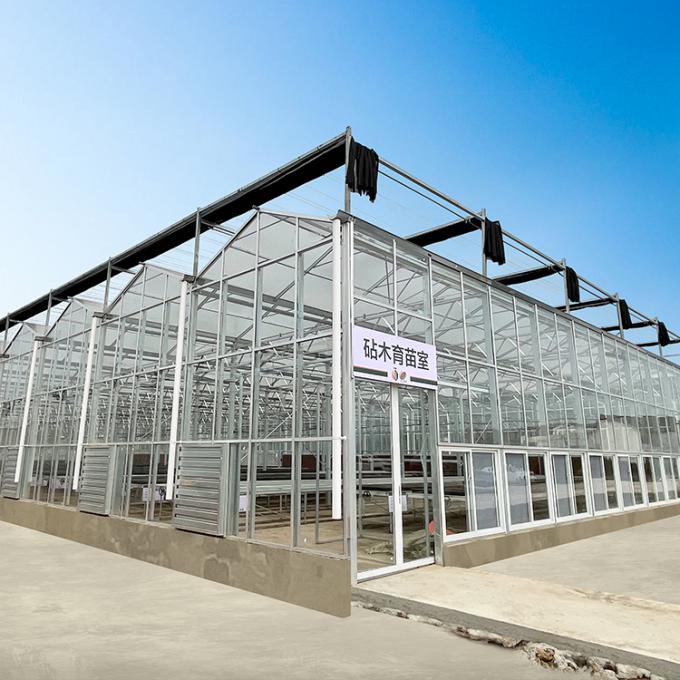 Wind Resistant Prefabricated Multi Span Greenhouse Venlo Type Greenhouse