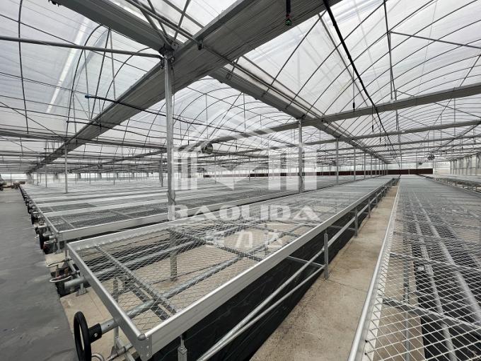 Australia Multi-span PC Sheet Greenhouse