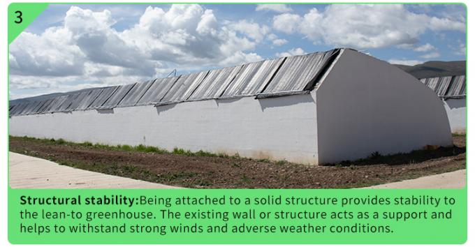 Customized Temperature Control Polytunnel Greenhouses With Solar Energy ...
