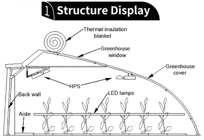 Customized Temperature Control Polytunnel Greenhouses With Solar Energy ...