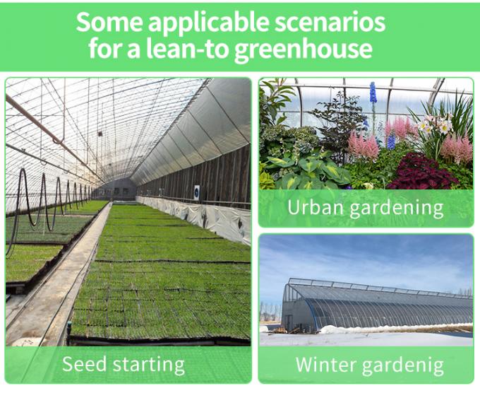 Customized Temperature Control Polytunnel Greenhouses With Solar Energy ...