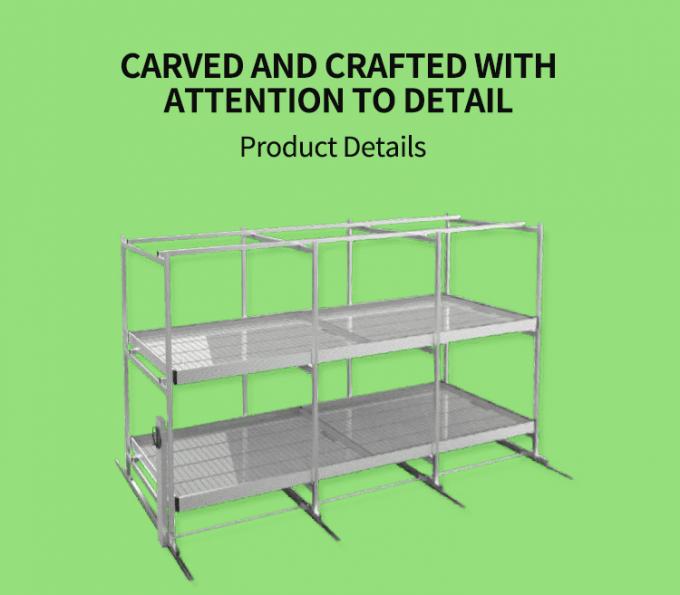 Customized Propagation Bed Made Possible By Greenhouse Rolling Benches