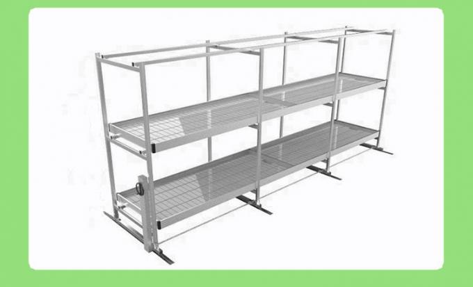 Customized Propagation Bed Made Possible By Greenhouse Rolling Benches