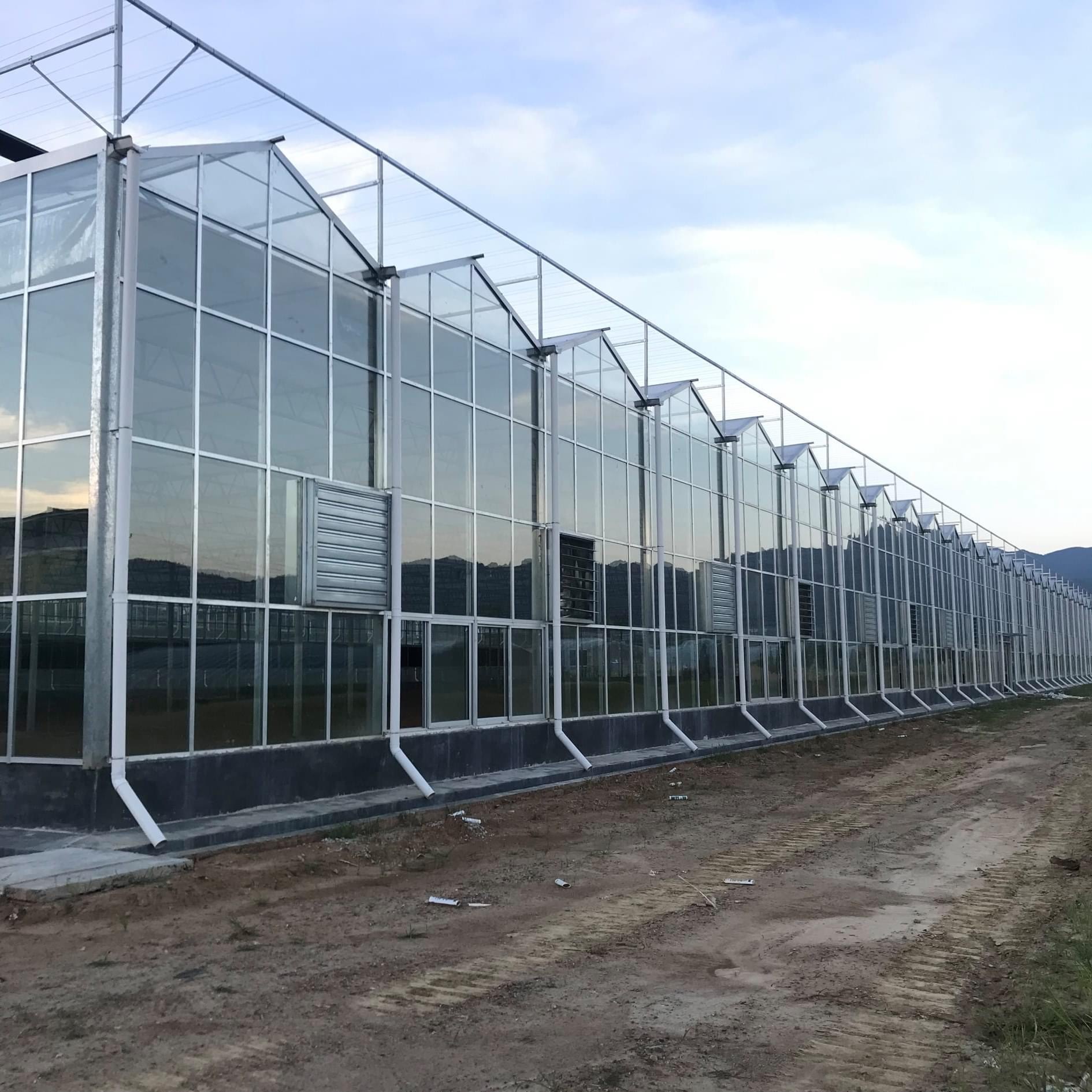Why use glass greenhouses to grow cash crops?
