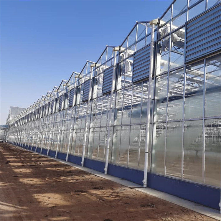 Commercial Glass Multi Span Greenhouse Agricultural Plants Cultivation