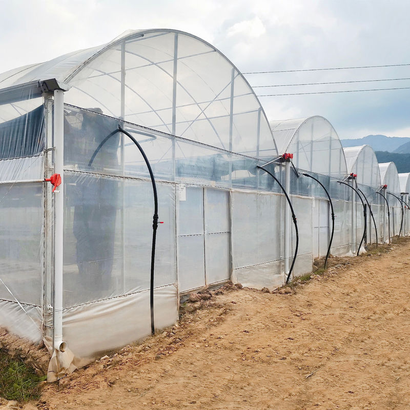 Large Size Multi-span Arch Plastic Film Greenhouse Hot Dip Galvanized ...