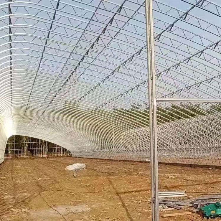 Customized Temperature Control Polytunnel Greenhouses With Solar Energy ...