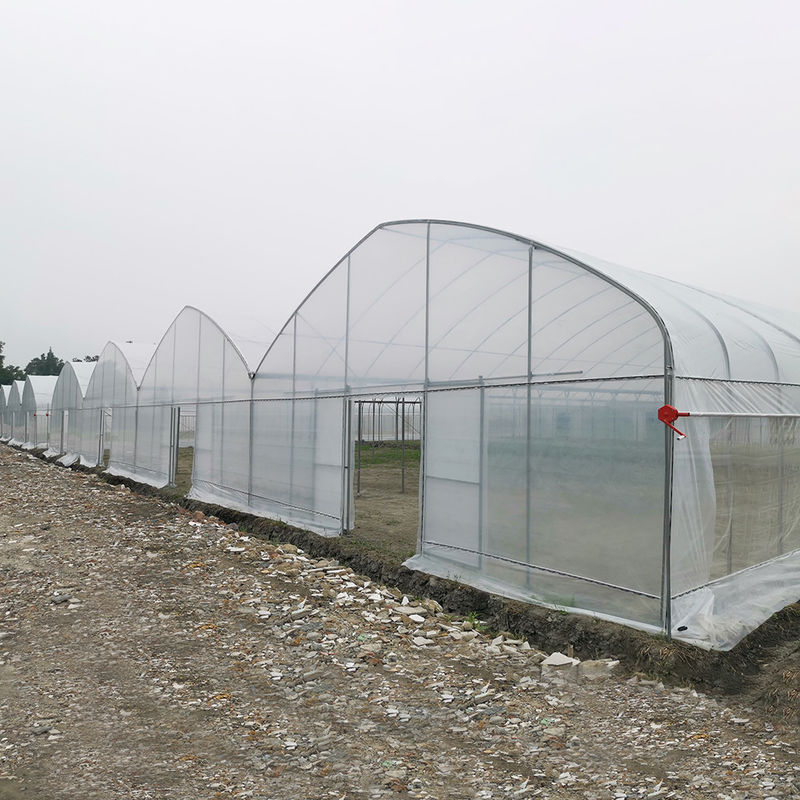 Wind Resistant UV Net House Greenhouse Environmental Controller Multi ...