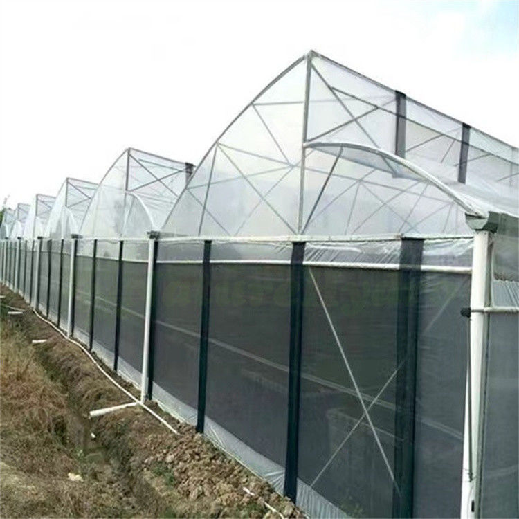 Hot Dip Galvanized Steel Pipe Green House Hothouse Ventilated Plastic ...