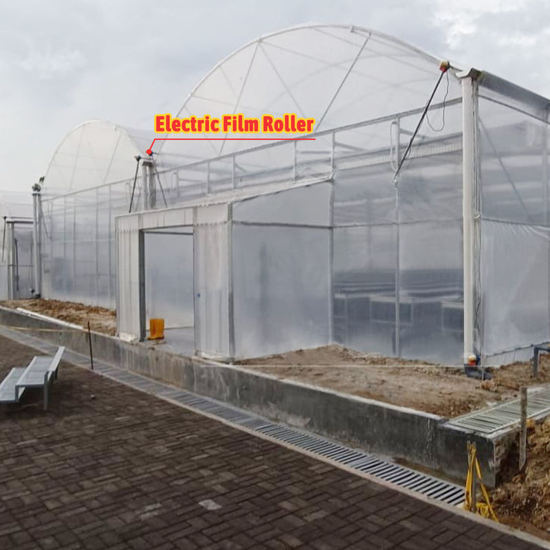 Flower and Vegetable Growing Hothouse Quonset Hut Conservatory Growing ...