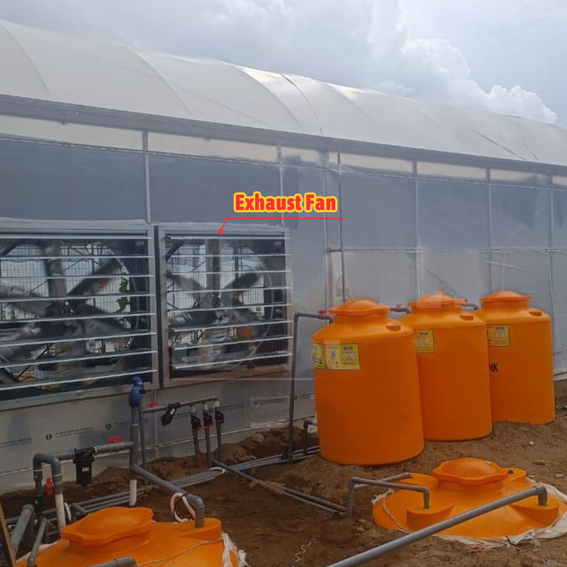 Flower and Vegetable Growing Hothouse Quonset Hut Conservatory Growing ...