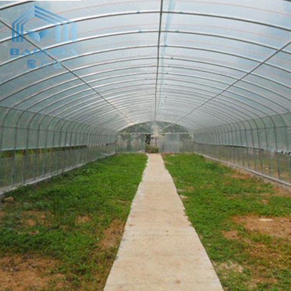 Agriculture Plants Growing Farming Polyethylene Film Single Span Tunnel ...
