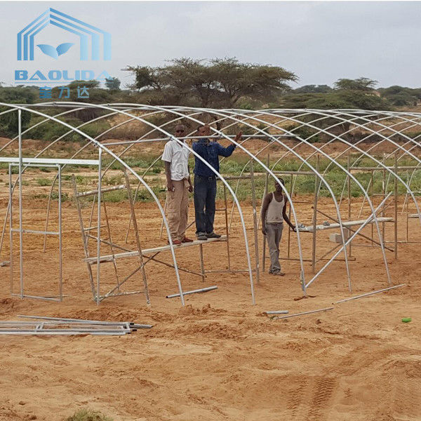 Agriculture Plants Growing Farming Polyethylene Film Single Span Tunnel ...