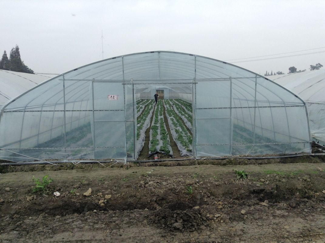 Single Layer Polyethylene Film Greenhouse Steel Structure Anti Rust