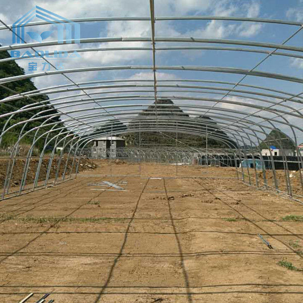 Single Layer Polyethylene Film Greenhouse Steel Structure Anti Rust