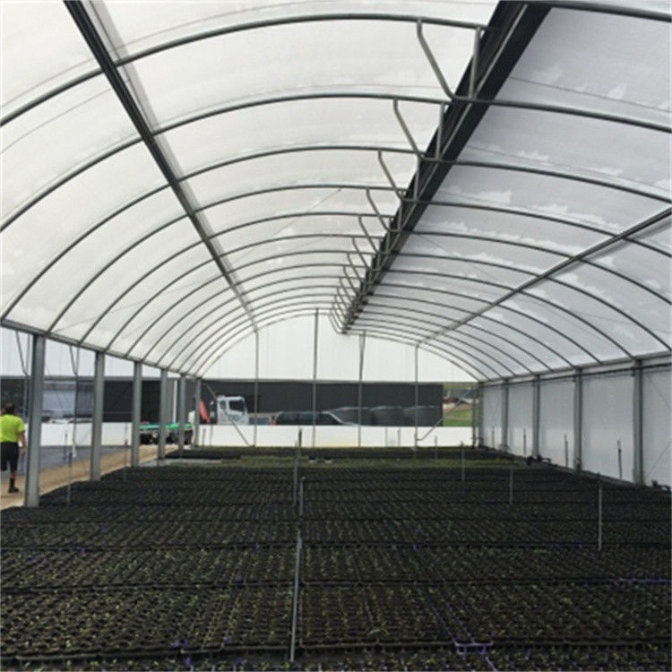 Customized High Tunnel Polytunnel Double Film Greenhouse Sawtooth ...