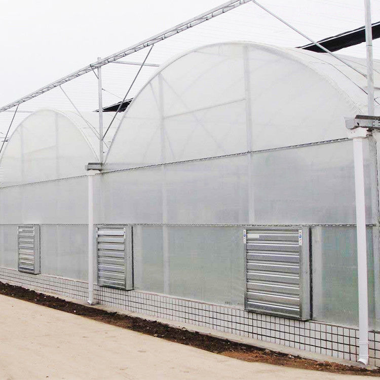 Hot Dipped Galvanized Steel PE Plastic Film Greenhouse 150mic 200 Micron