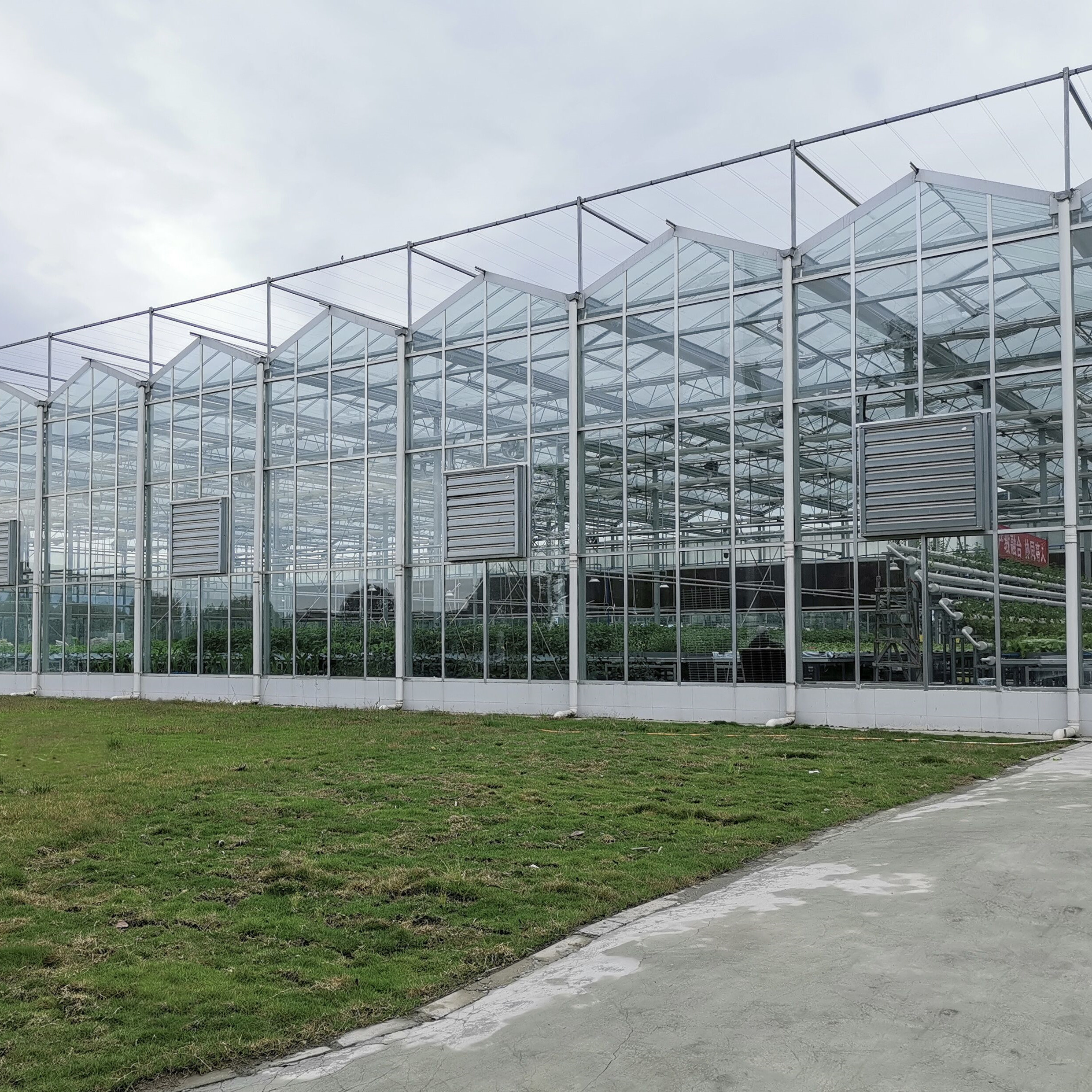 Agriculture Flower Greenhouse Glass Industrial Outdoor Multispan Glass ...