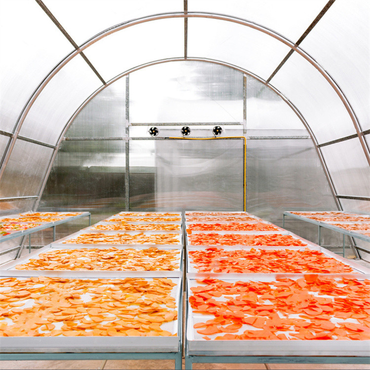 Durable UV Protected Fish Herb Solar Drying Greenhouse with Stable ...
