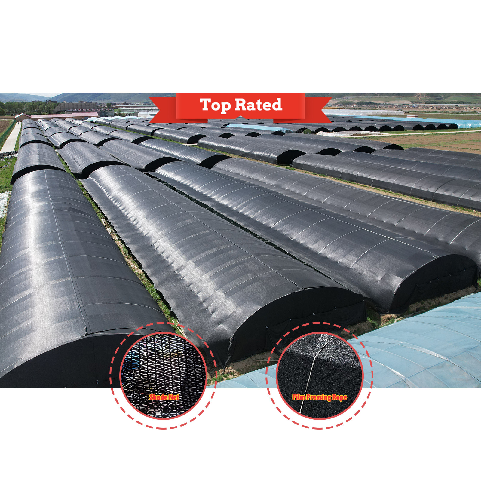 Manual or Electric Roll Up Ventilation Agricultural Polythene Film ...