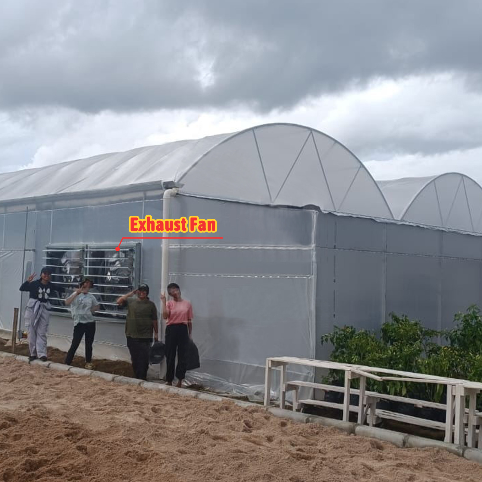 Flower and Vegetable Growing Hothouse Quonset Hut Conservatory Growing ...