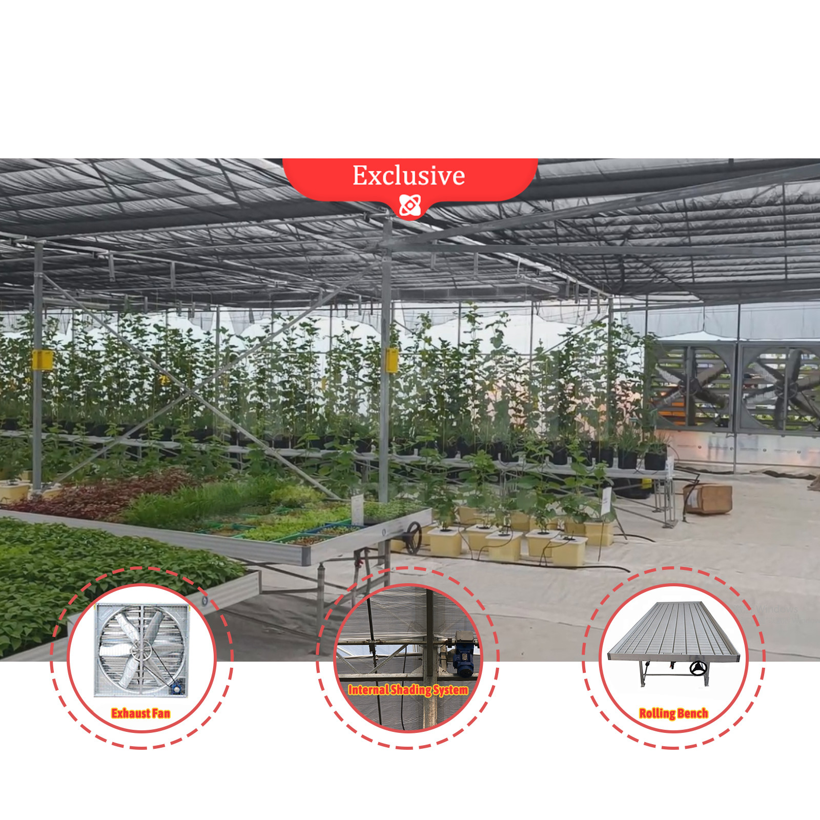 Flower and Vegetable Growing Hothouse Quonset Hut Conservatory Growing ...