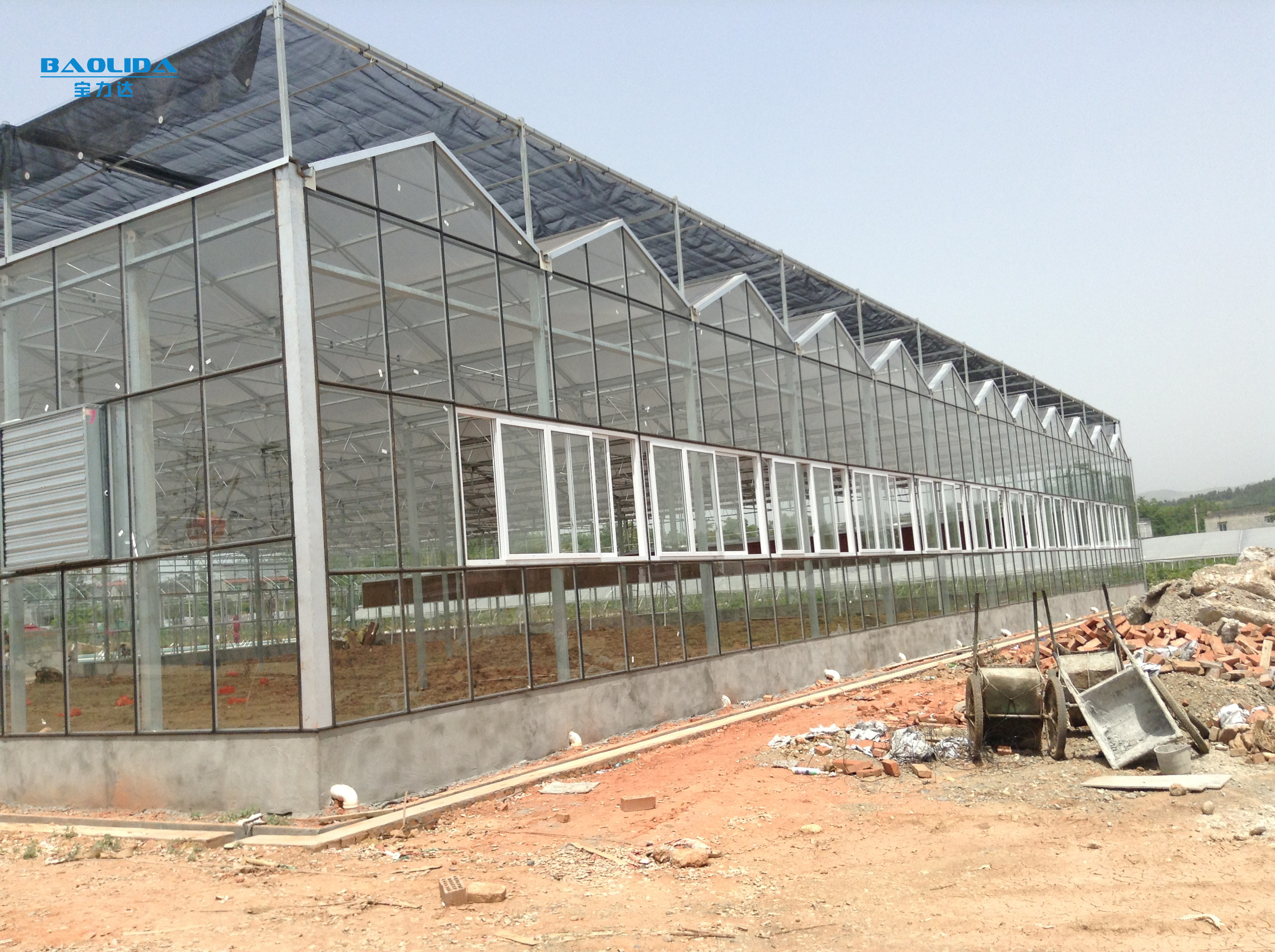 Agricultural Tempered Glass Venlo Type Greenhouse With 48mm Column