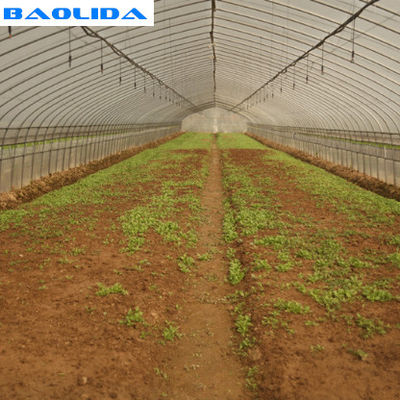 Greenhouse Drip Irrigation System / Overhead Sprinkler System For ...