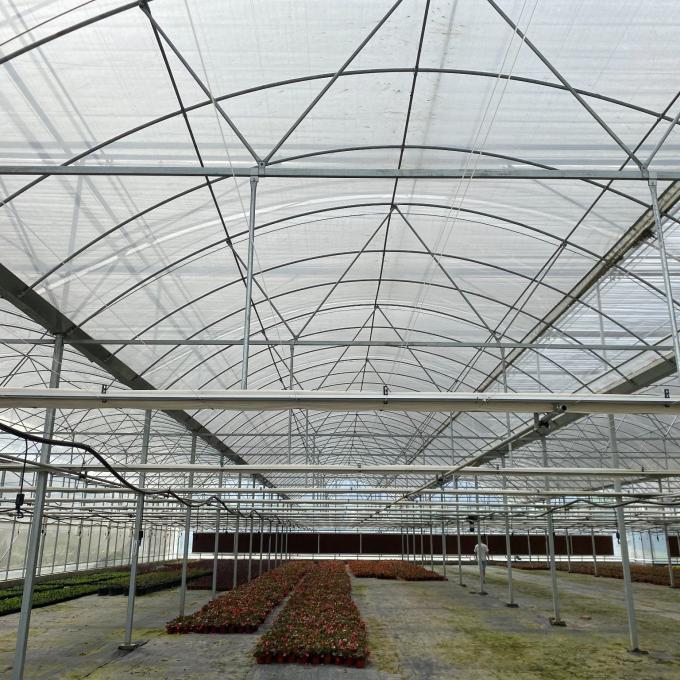 Hydroponic Complete Thailand Multi Span Greenhouse Side Ventilation ...